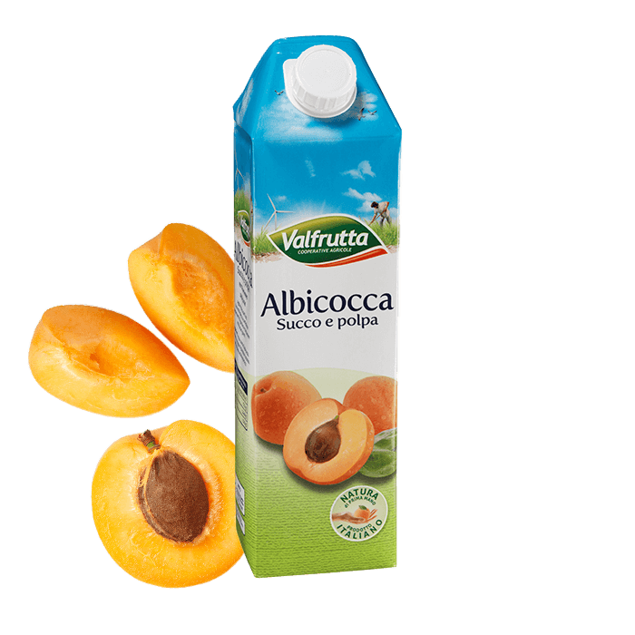 Albicocco, varietà ed accorgimenti per coltivare questo albero antico ...